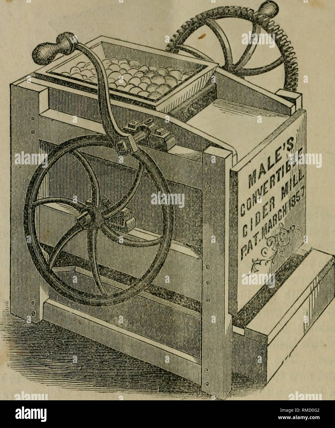 Sorghum press hi-res stock photography and images - Alamy