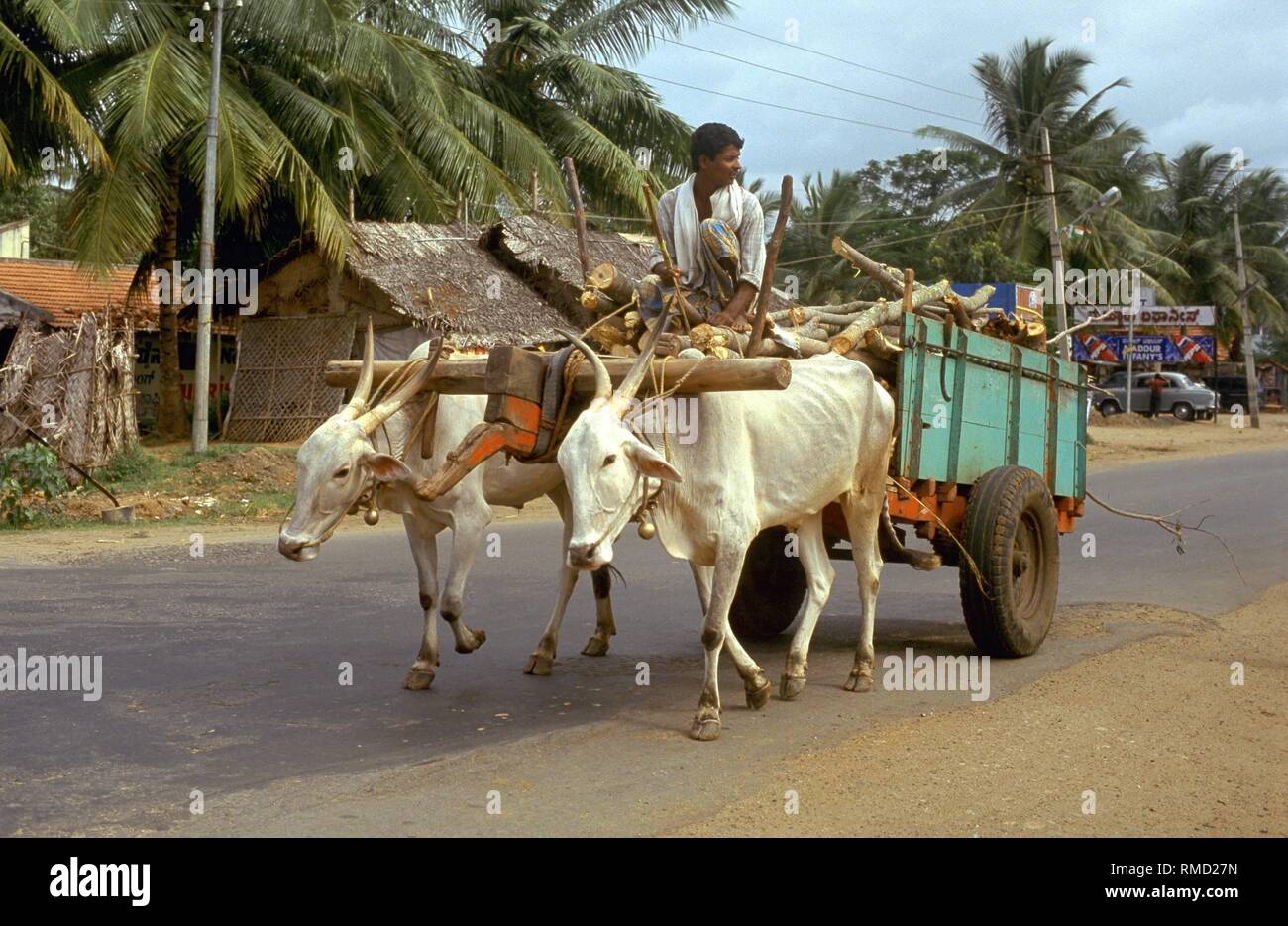 Ox cart as a means of transport Stock Photo - Alamy