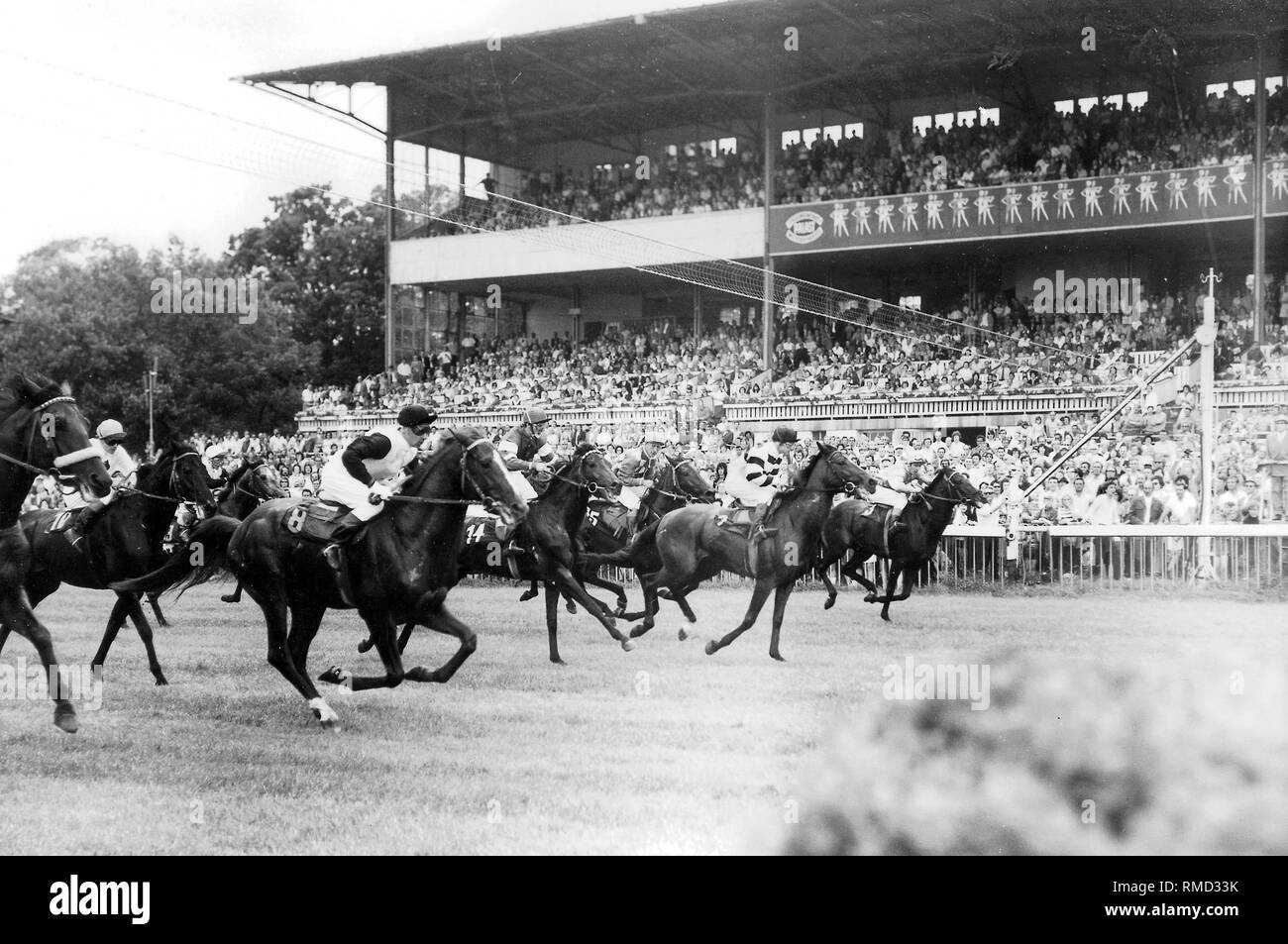 Hoppegarten galopprennbahn hi-res stock photography and images - Alamy