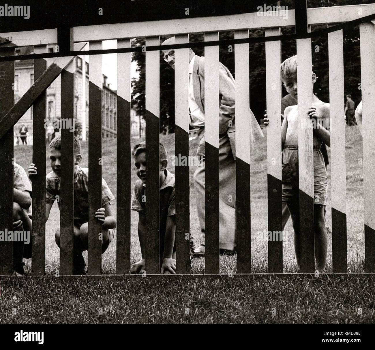 Children peeking through fence hi-res stock photography and images - Alamy