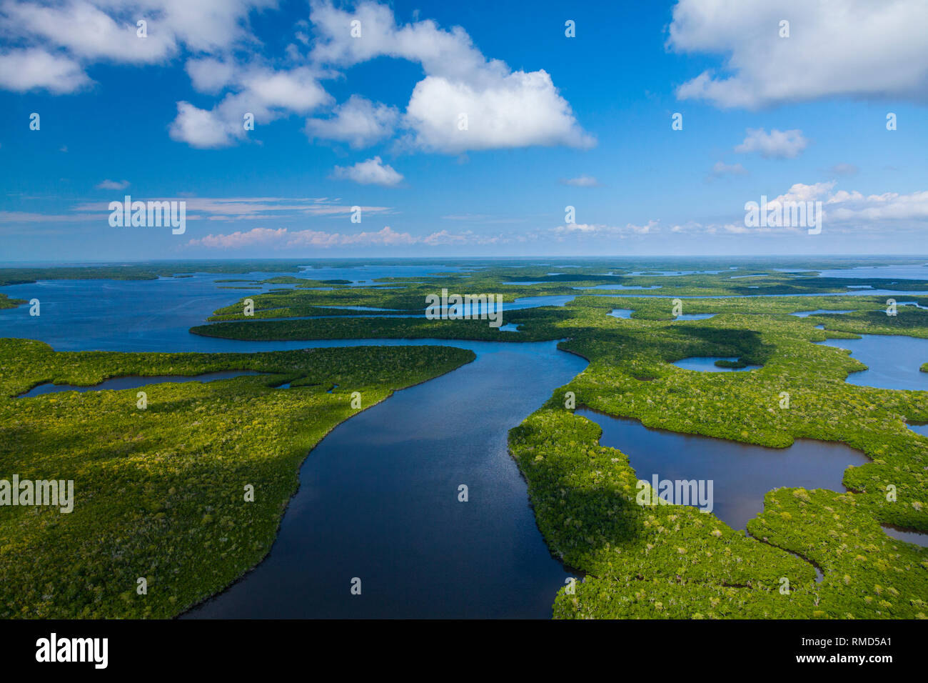 Aerial view, Everglades Natuional Park, FLORIDA, USA, AMERICA Stock ...