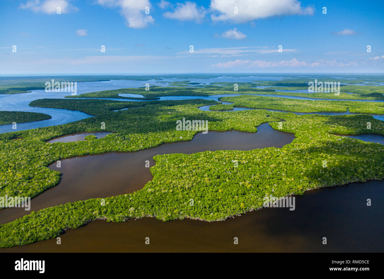 Aerial view, Everglades Natuional Park, FLORIDA, USA, AMERICA Stock ...