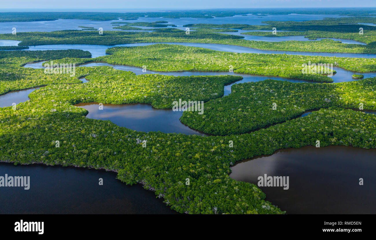 Aerial view, Everglades Natuional Park, FLORIDA, USA, AMERICA Stock ...