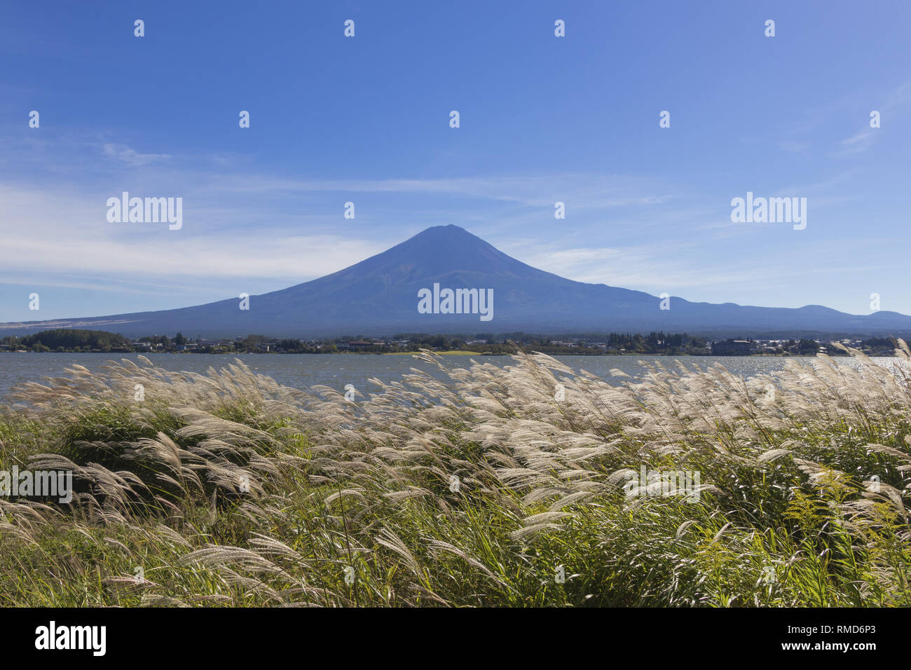 Mount fuji summer hi-res stock photography and images - Alamy