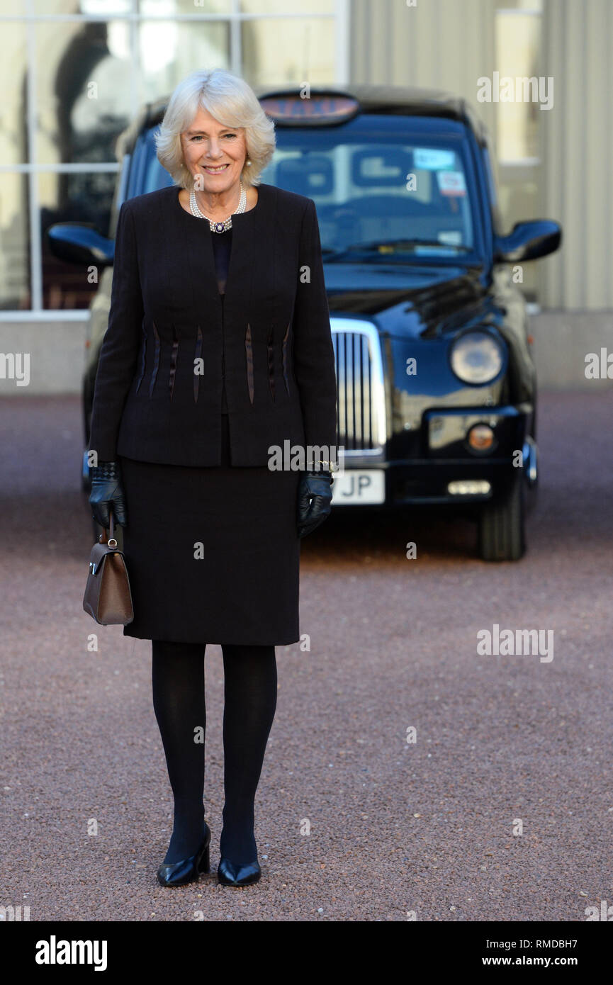 The Duchess of Cornwall in front of a low emission taxi as she hosts a ...