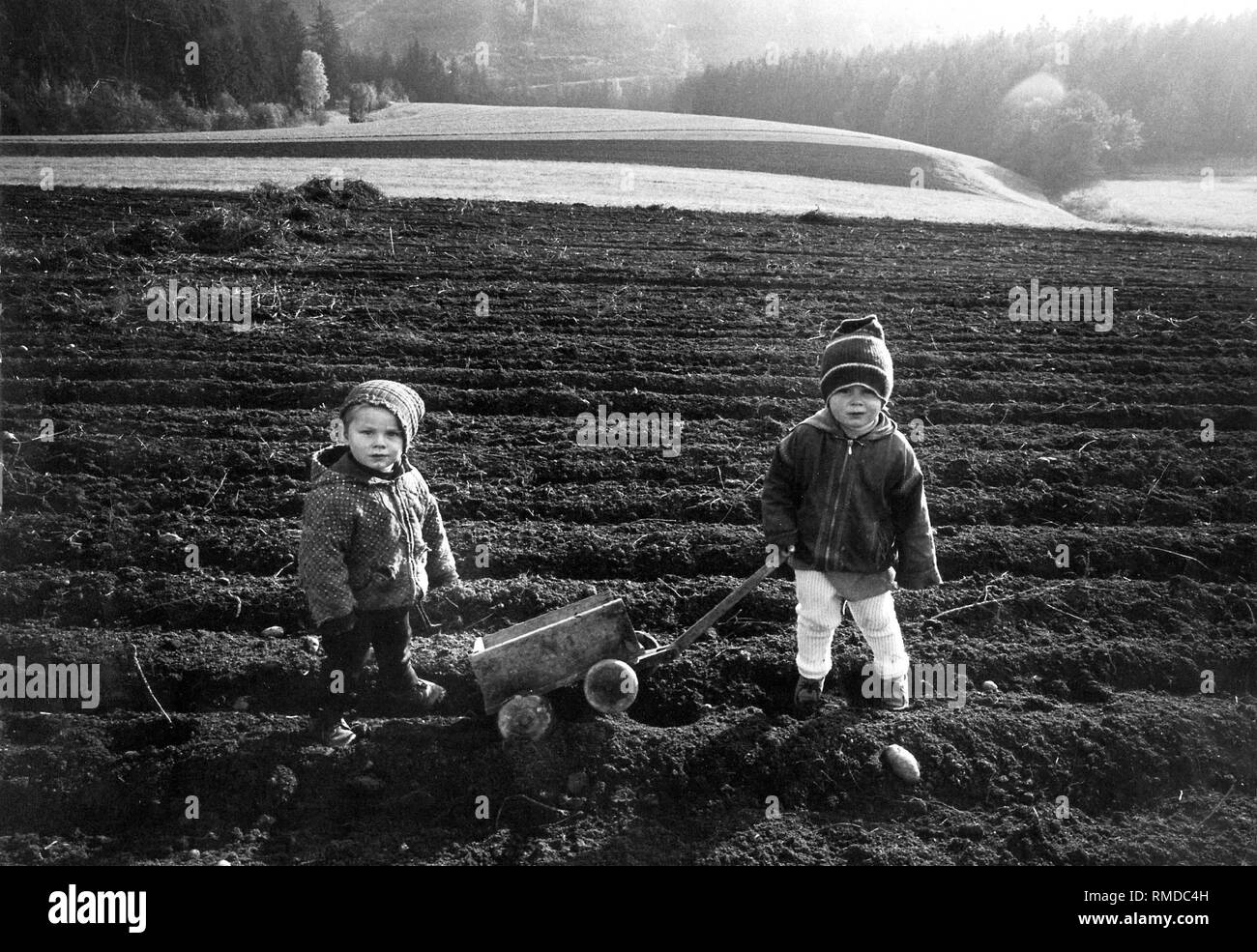 Two children at "potato harvest" in the Bavarian Forest Stock Photo - Alamy