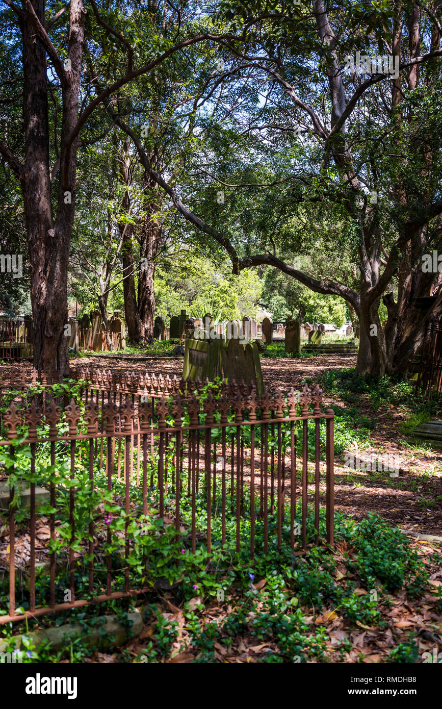 Camperdown cemetery hi-res stock photography and images - Alamy