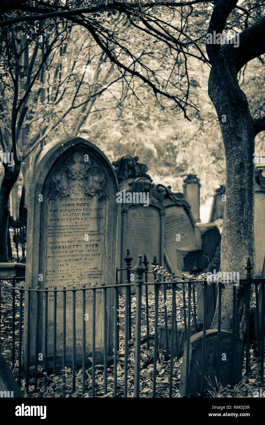 Camperdown Cemetery, a historic cemetery located on Church Street in ...