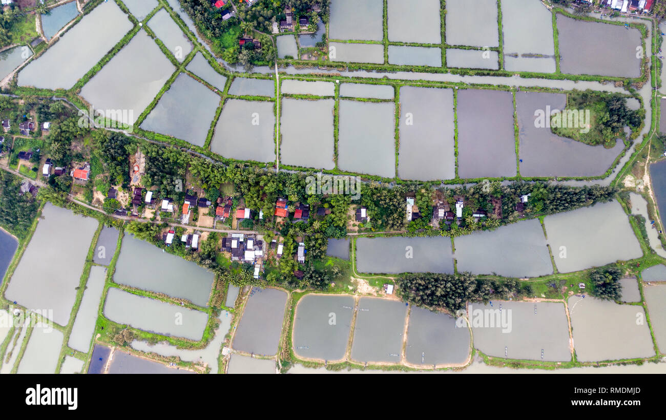 Flooded rice fields near Hoi An, Vietnam Stock Photo - Alamy