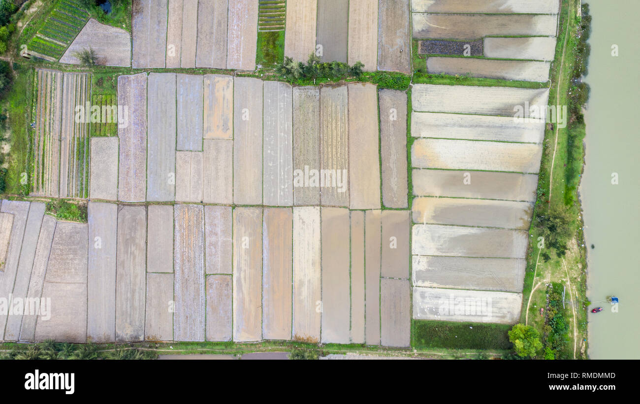 Flooded rice fields near Hoi An, Vietnam Stock Photo - Alamy