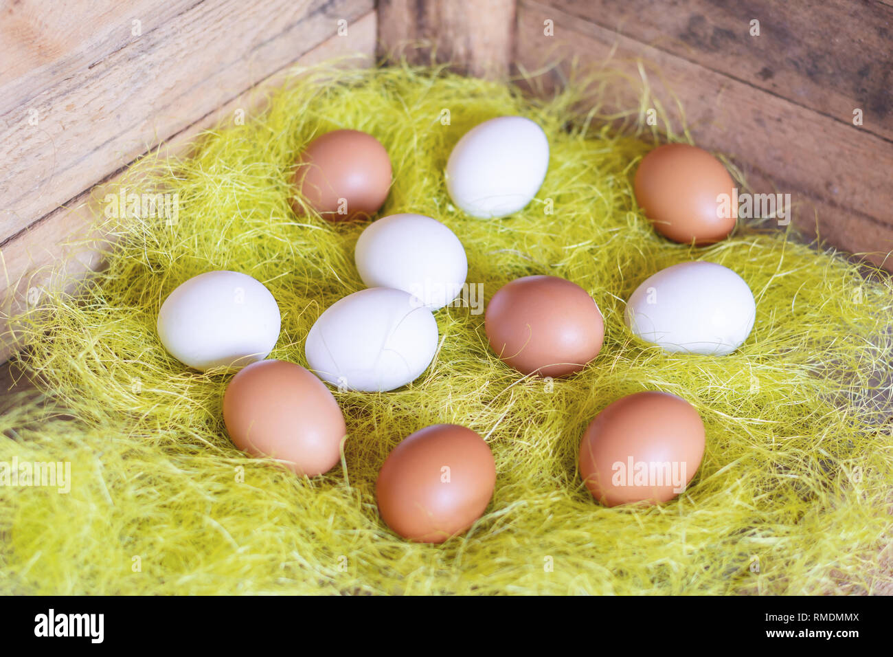 Easter composition with eleven eggs spread in the yellow straw Stock Photo - Alamy