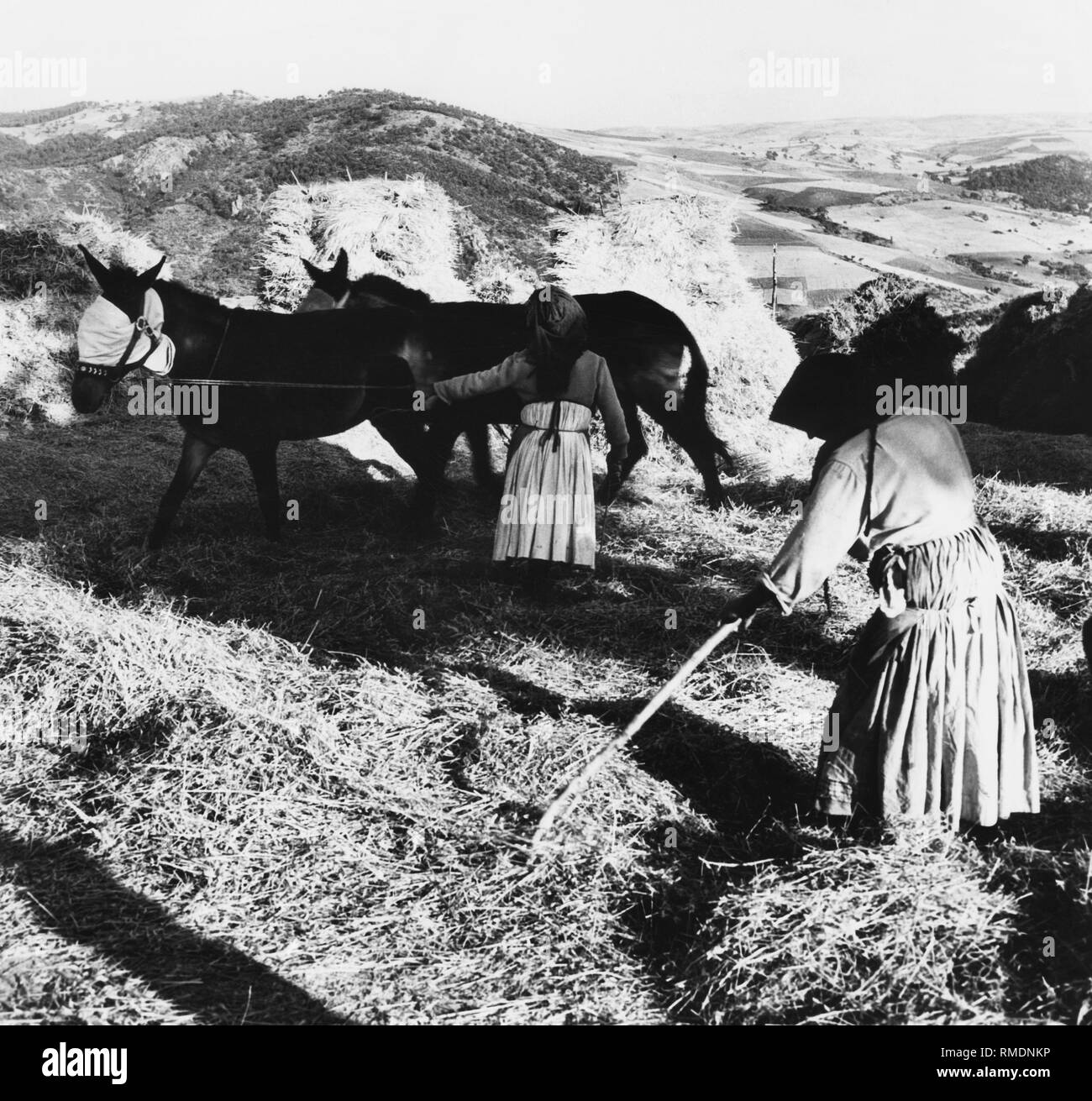 Italy women working Black and White Stock Photos & Images - Alamy