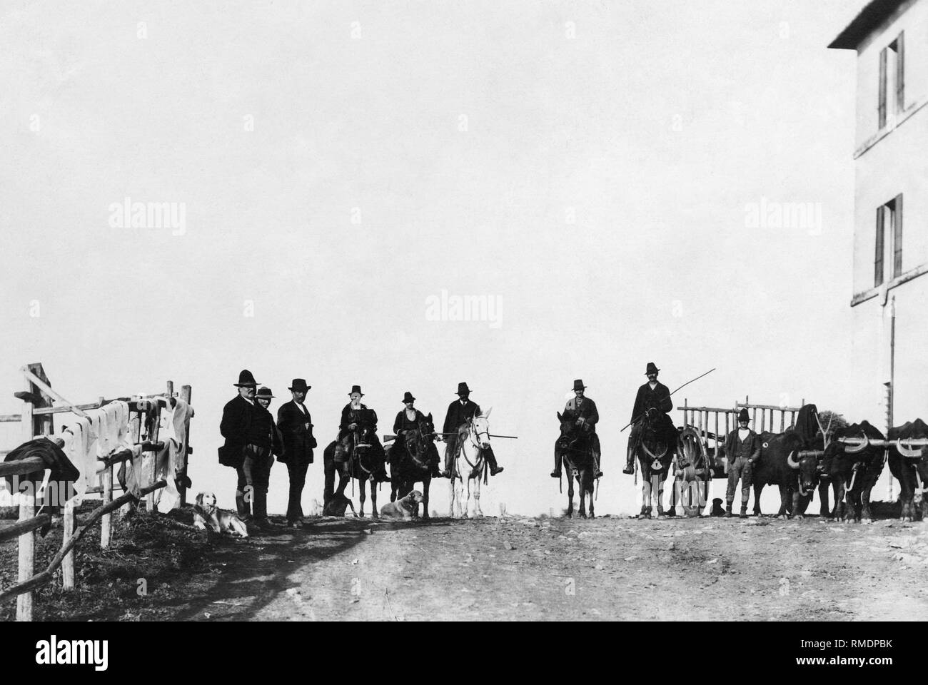 Boar hunting italy hi-res stock photography and images - Alamy