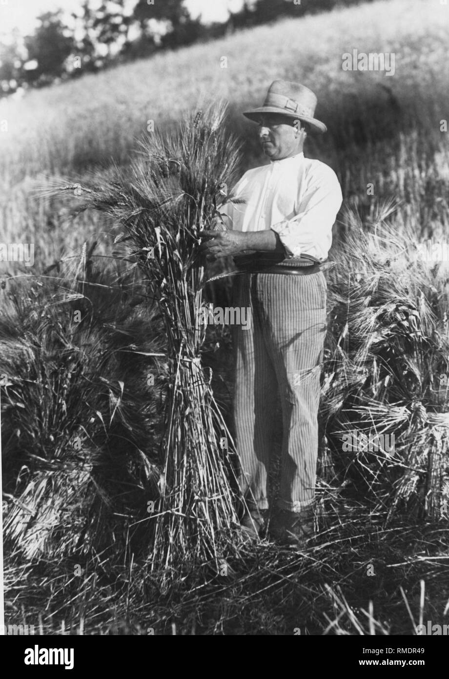 farmer, molise, italy 1920 1930 Stock Photo - Alamy