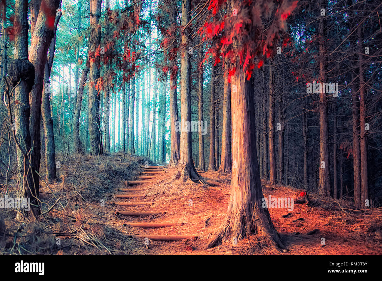 Beauty of japan autumn hi-res stock photography and images - Alamy