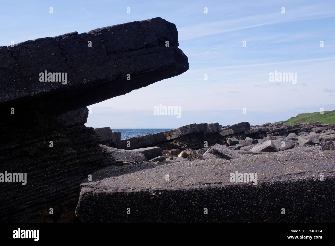 Carboniferous Sandstone Exposed on the Fife coast Near Crail, affected ...