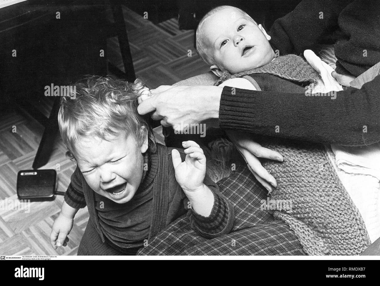 A baby, lying on his mother's lap, pulls his bigger brother's hair, and ...