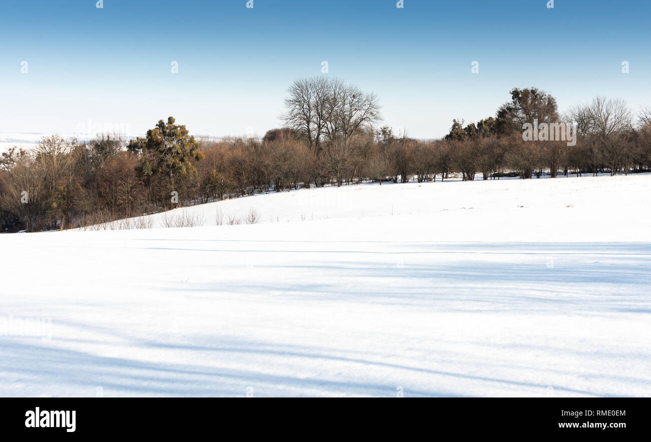 Winter landscape , fields in the snow and trees without snow Stock ...