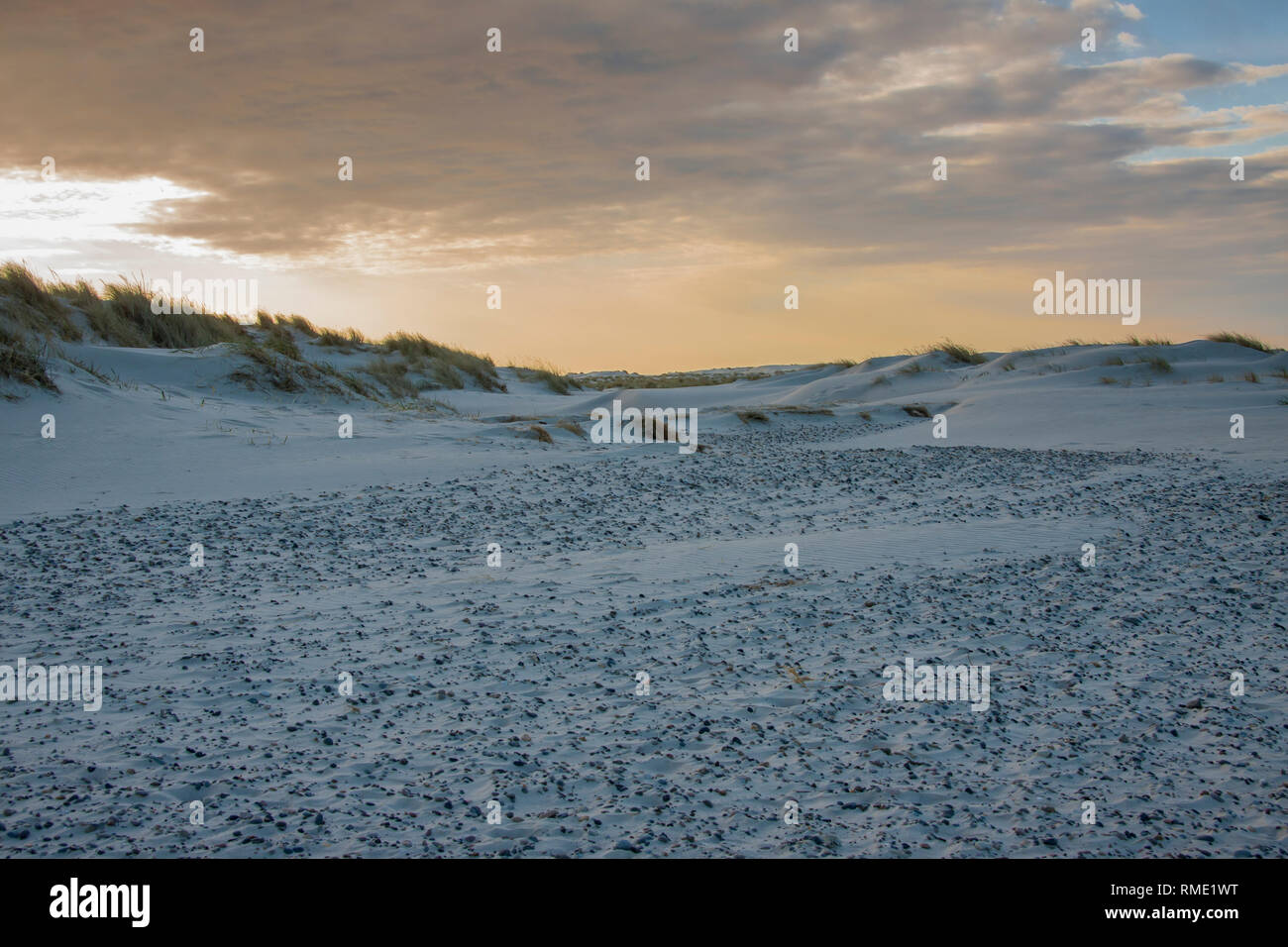 Beach next to Skagen in the northern part of Denmark Stock Photo - Alamy