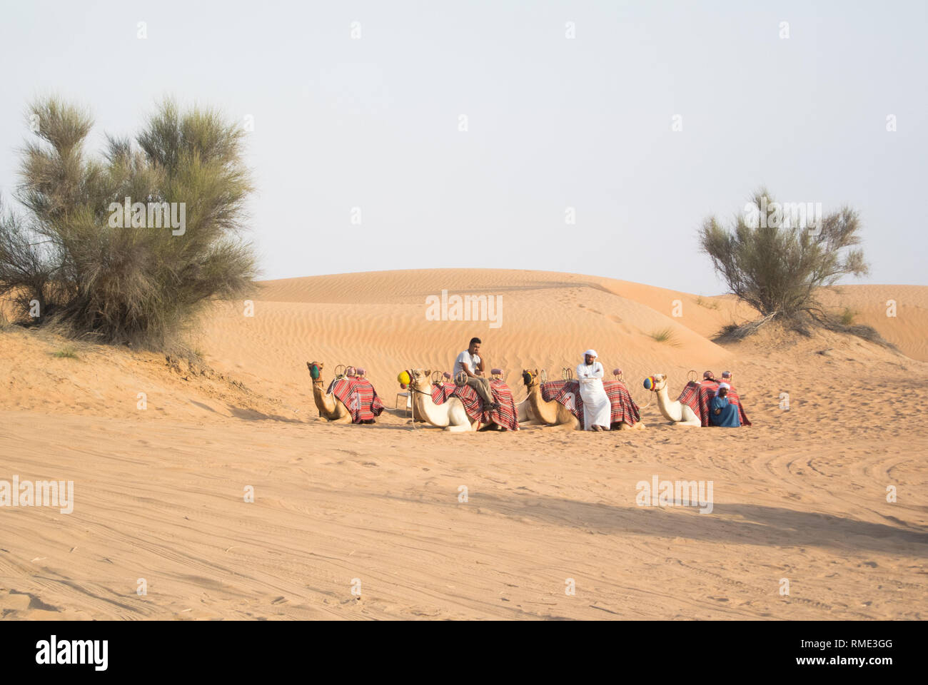 Dubai safari desert hi-res stock photography and images - Alamy
