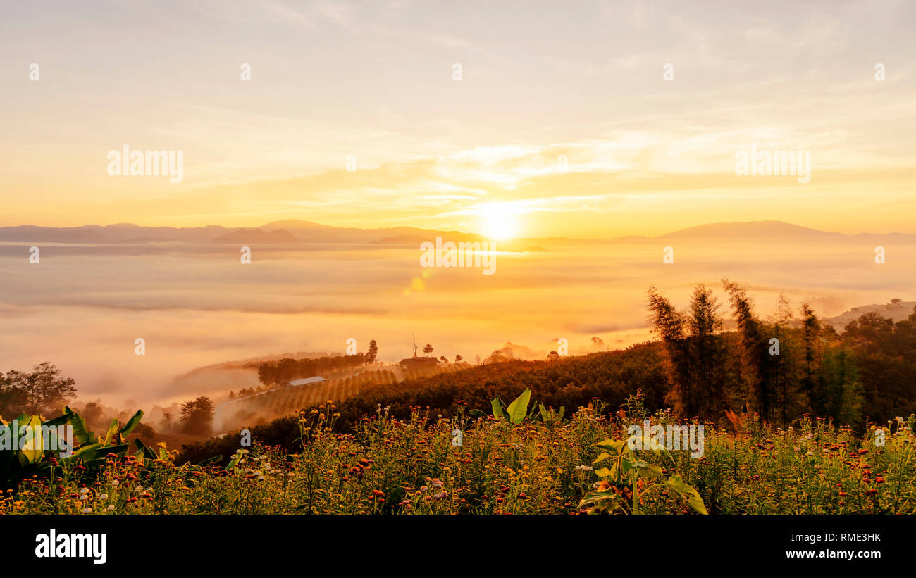 Morning sunrise clouds and fog over mountain at Yun Lai Viewpoint (Pai ...