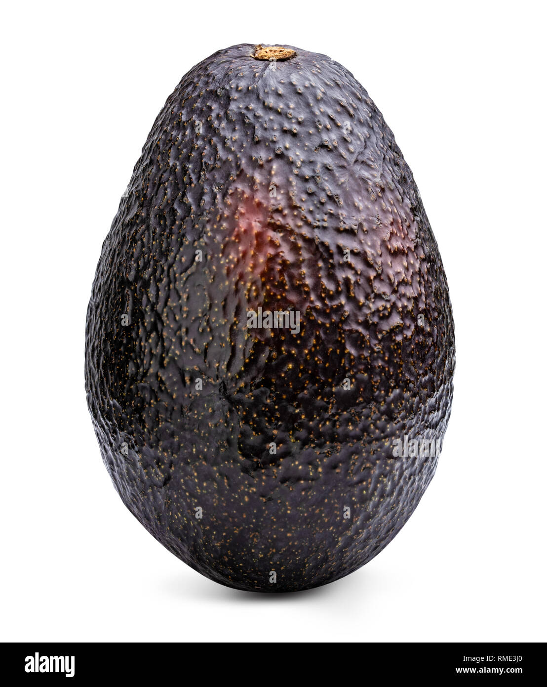 Dark avocado isolated on white background. Clipping path Stock Photo ...