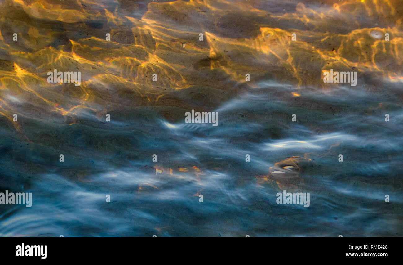 Refraction underwater hi-res stock photography and images - Alamy