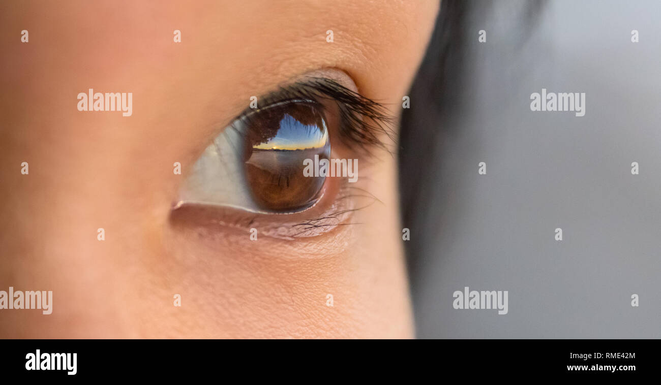 reflection of the sunset at the ocean in an young woman's eye Stock ...