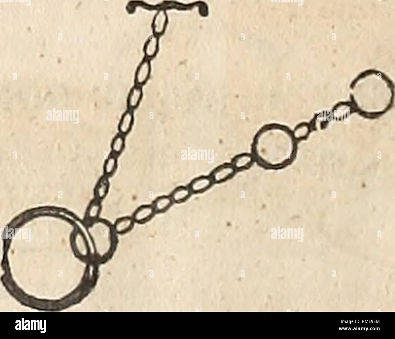 Stanchion stall hi-res stock photography and images - Alamy