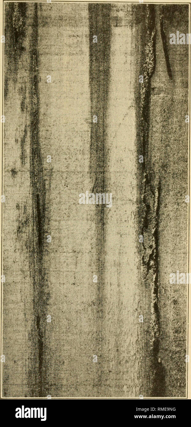 J W W Birch High Resolution Stock Photography and Images - Alamy