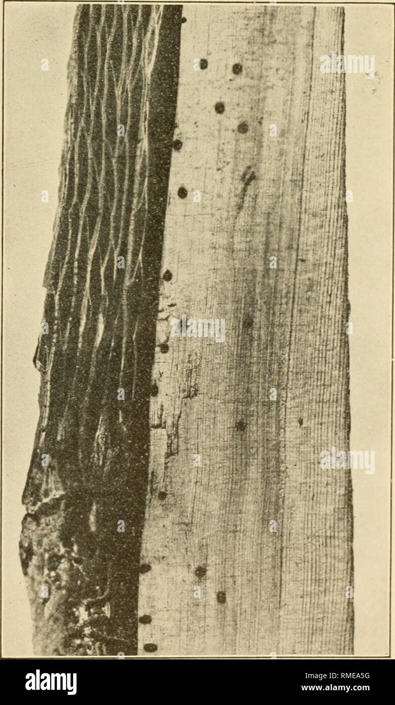 List of defects hi-res stock photography and images - Alamy