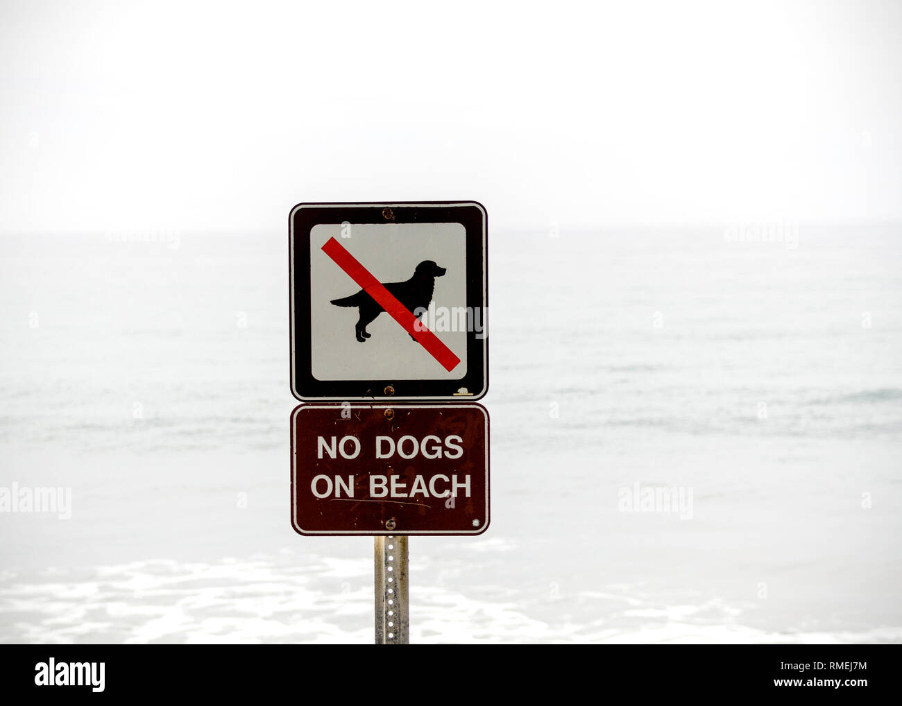 No dogs on beach sign Stock Photo - Alamy