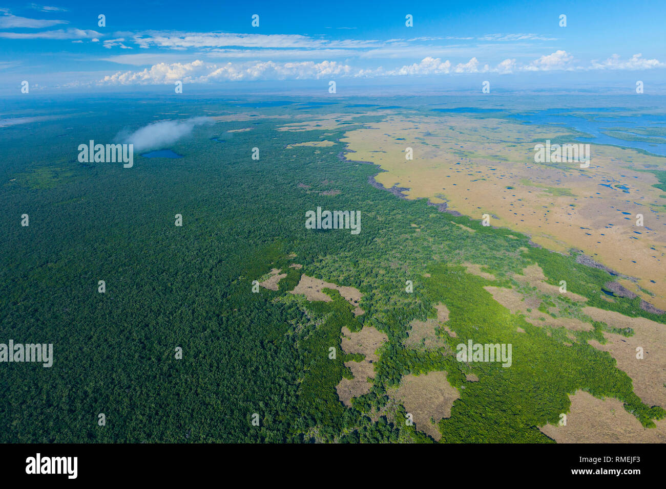Aerial view, Everglades Natuional Park, FLORIDA, USA, AMERICA Stock ...