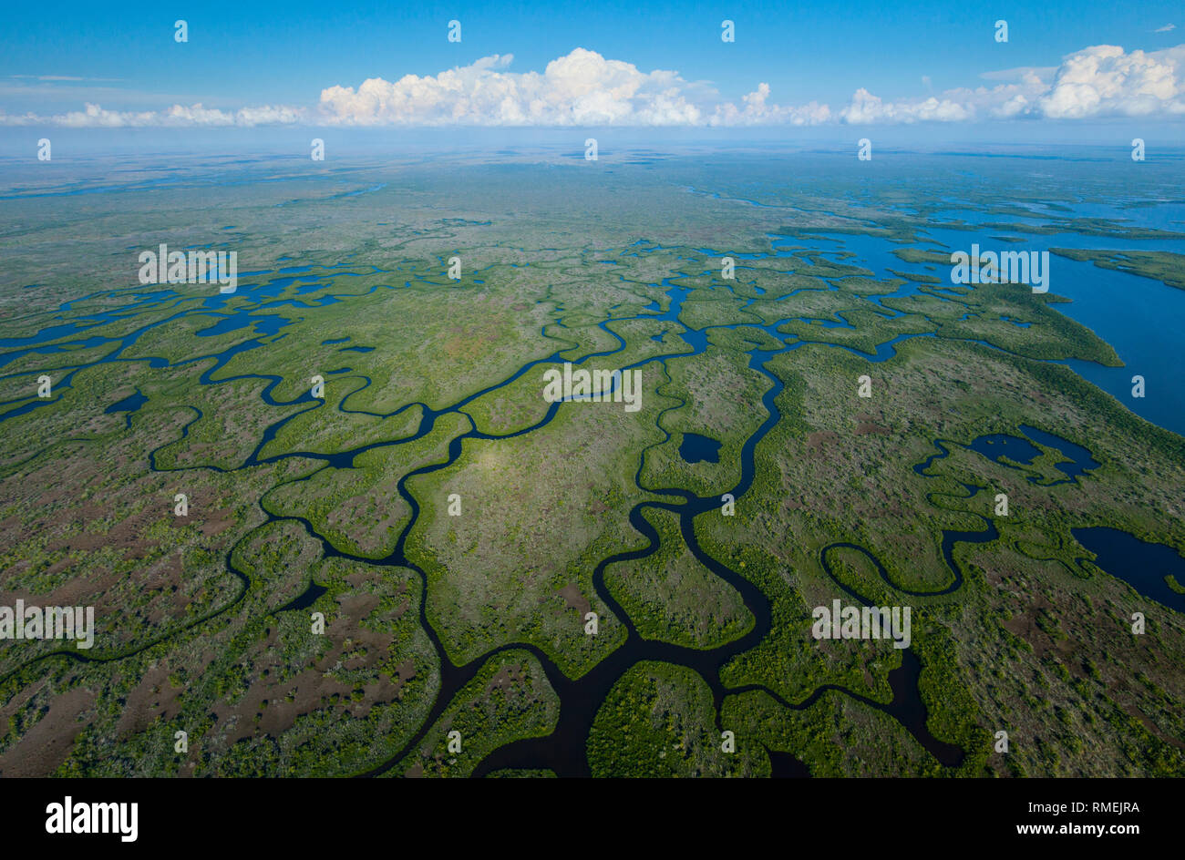 Aerial view, Everglades Natuional Park, FLORIDA, USA, AMERICA Stock ...