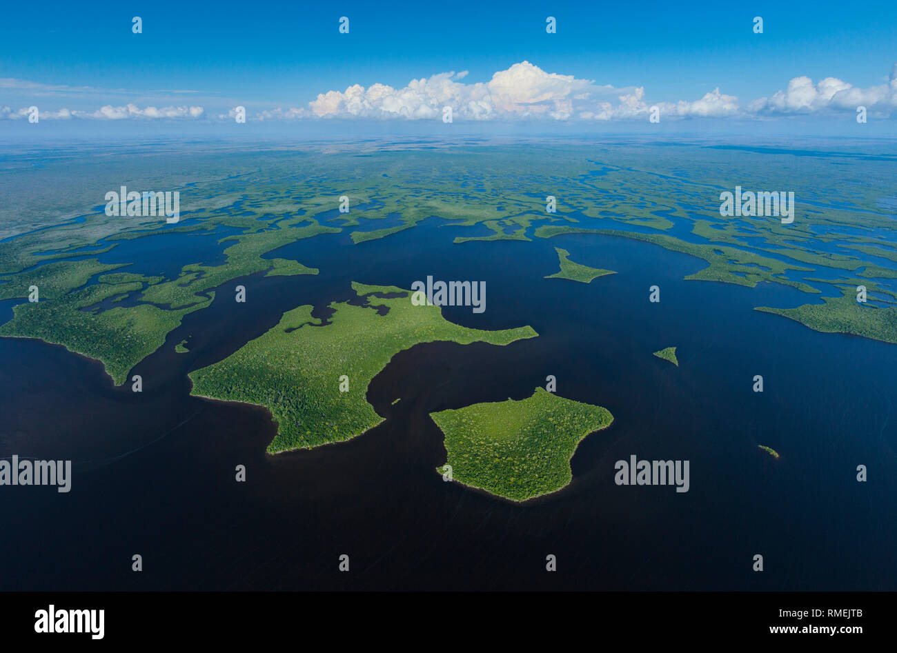 Aerial view, Everglades Natuional Park, FLORIDA, USA, AMERICA Stock ...