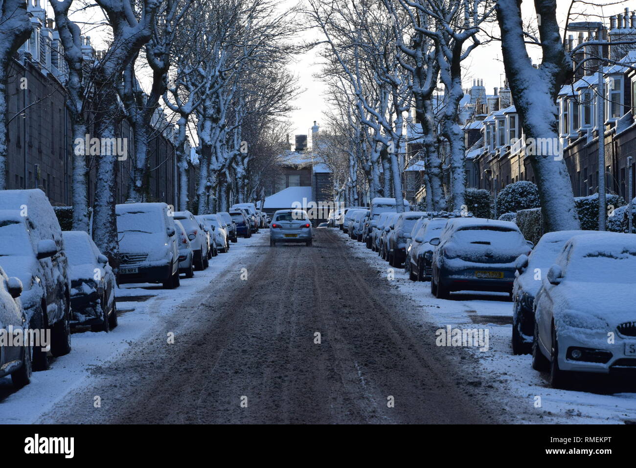 Tree-lined Watson Street Aberdeen in snowy winter scene Stock Photo - Alamy