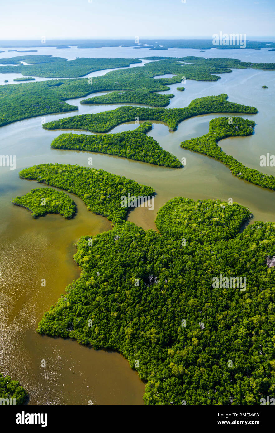 Aerial view, Everglades Natuional Park, FLORIDA, USA, AMERICA Stock ...