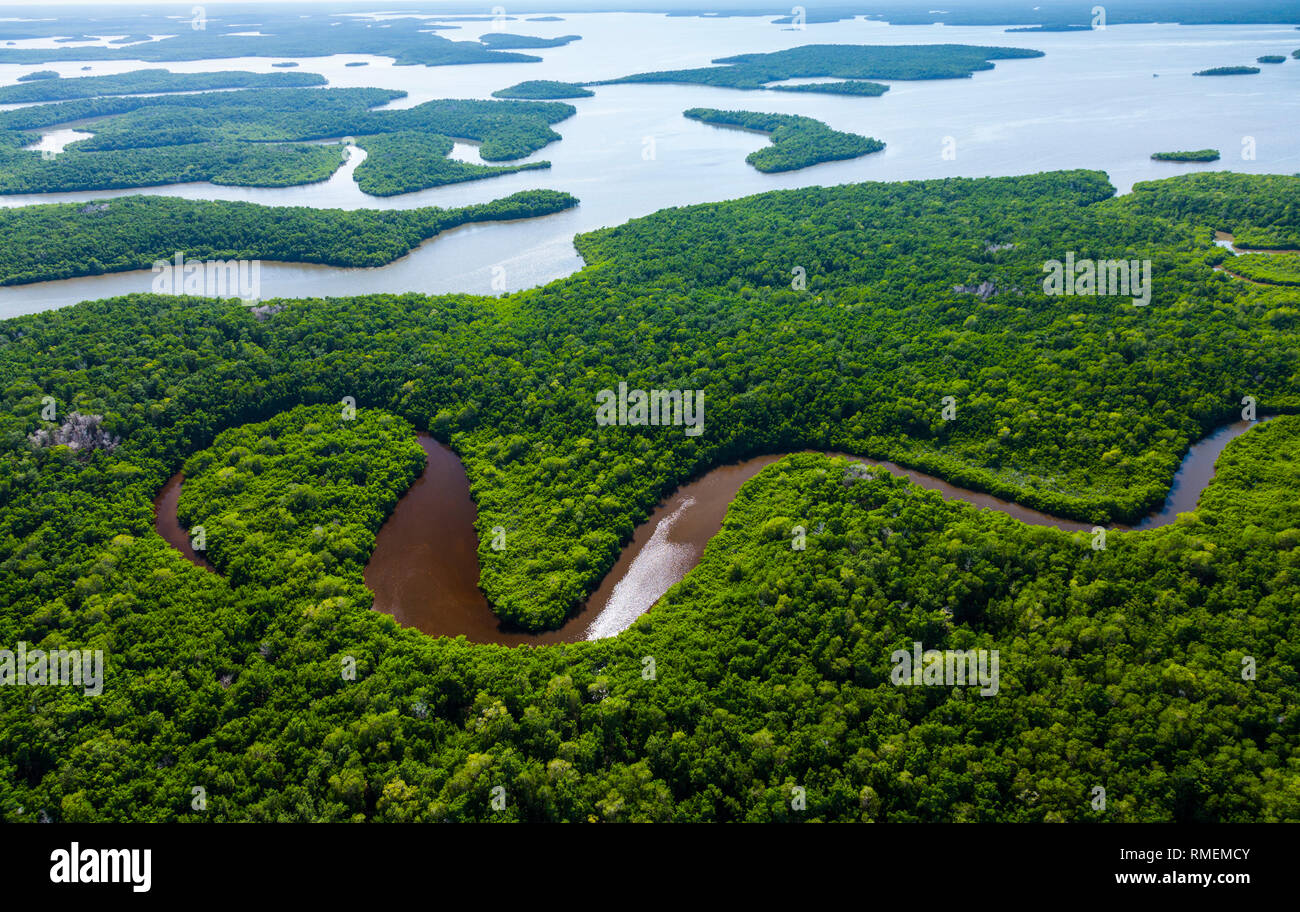 Aerial view, Everglades Natuional Park, FLORIDA, USA, AMERICA Stock ...