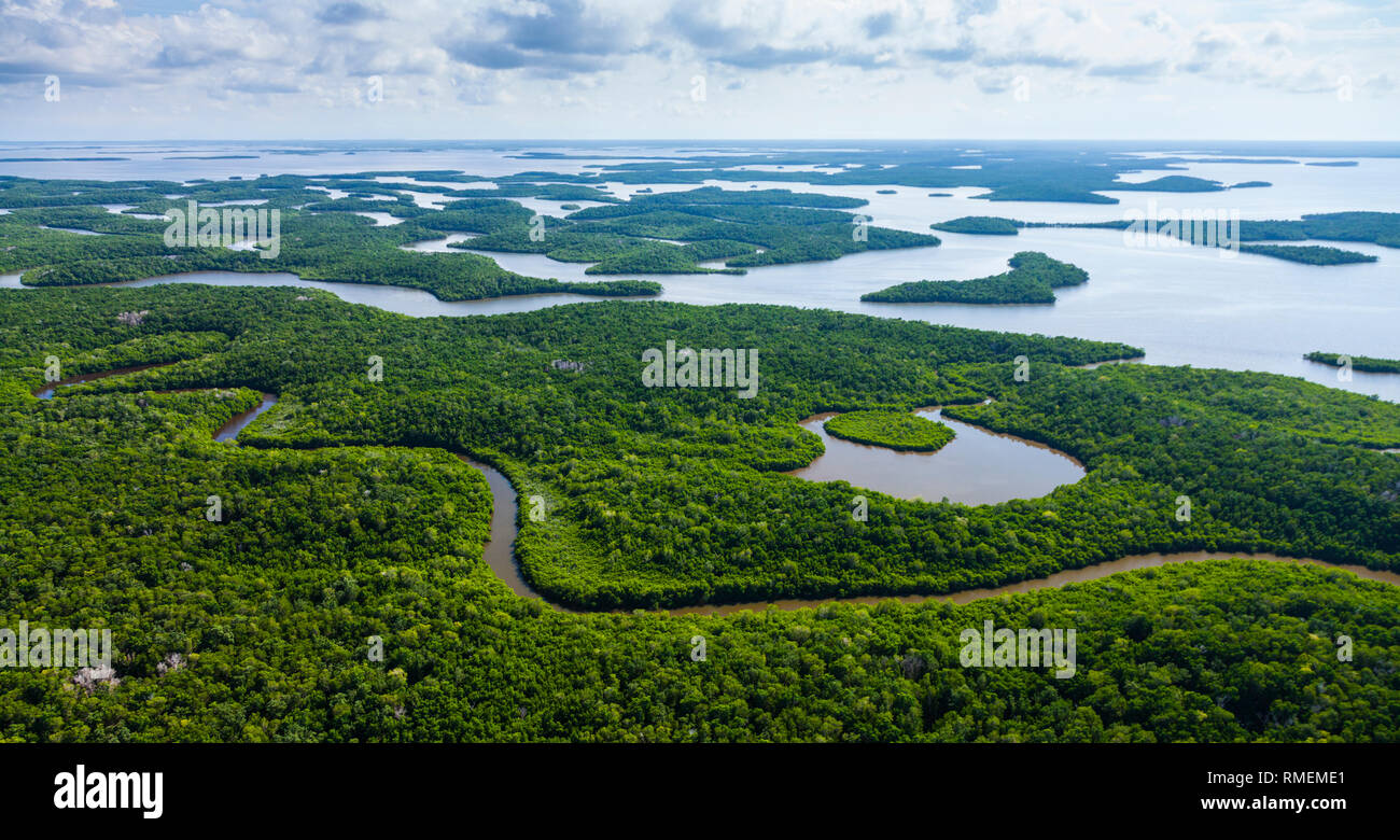 Aerial view, Everglades Natuional Park, FLORIDA, USA, AMERICA Stock ...