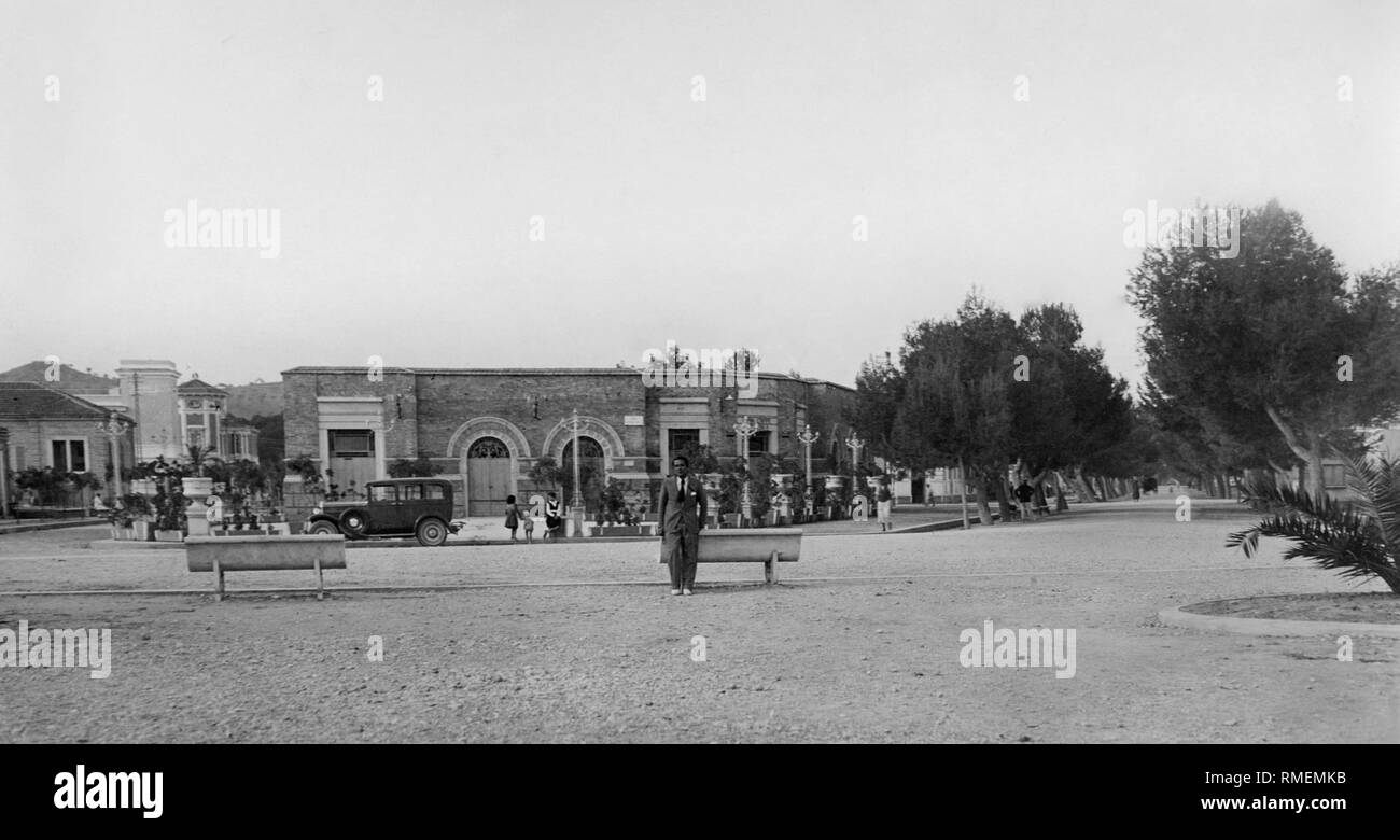 pinewood, pescara, abruzzo, italy, 1920 Stock Photo - Alamy