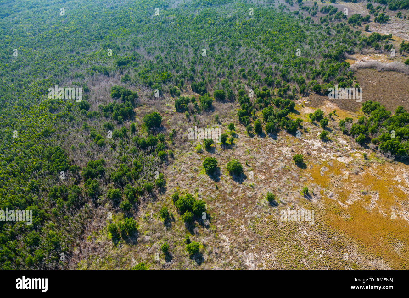 Aerial view, Everglades Natuional Park, FLORIDA, USA, AMERICA Stock ...