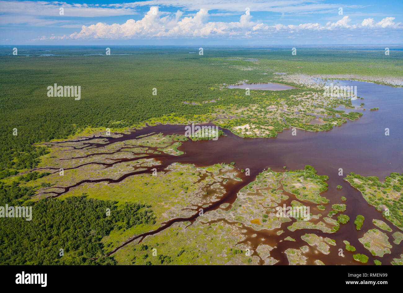 Aerial view, Everglades Natuional Park, FLORIDA, USA, AMERICA Stock ...