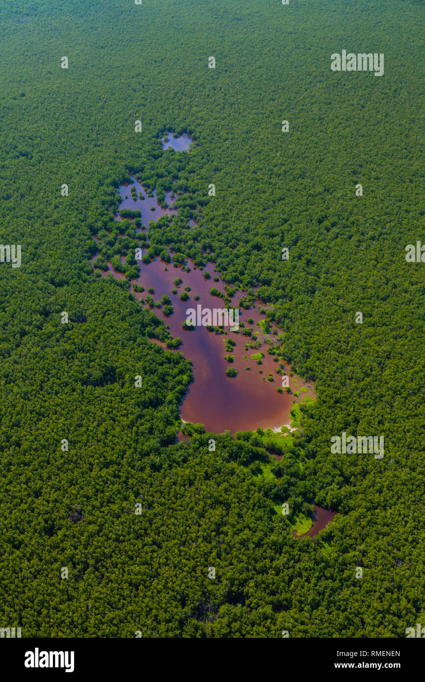 Aerial view, Everglades Natuional Park, FLORIDA, USA, AMERICA Stock ...