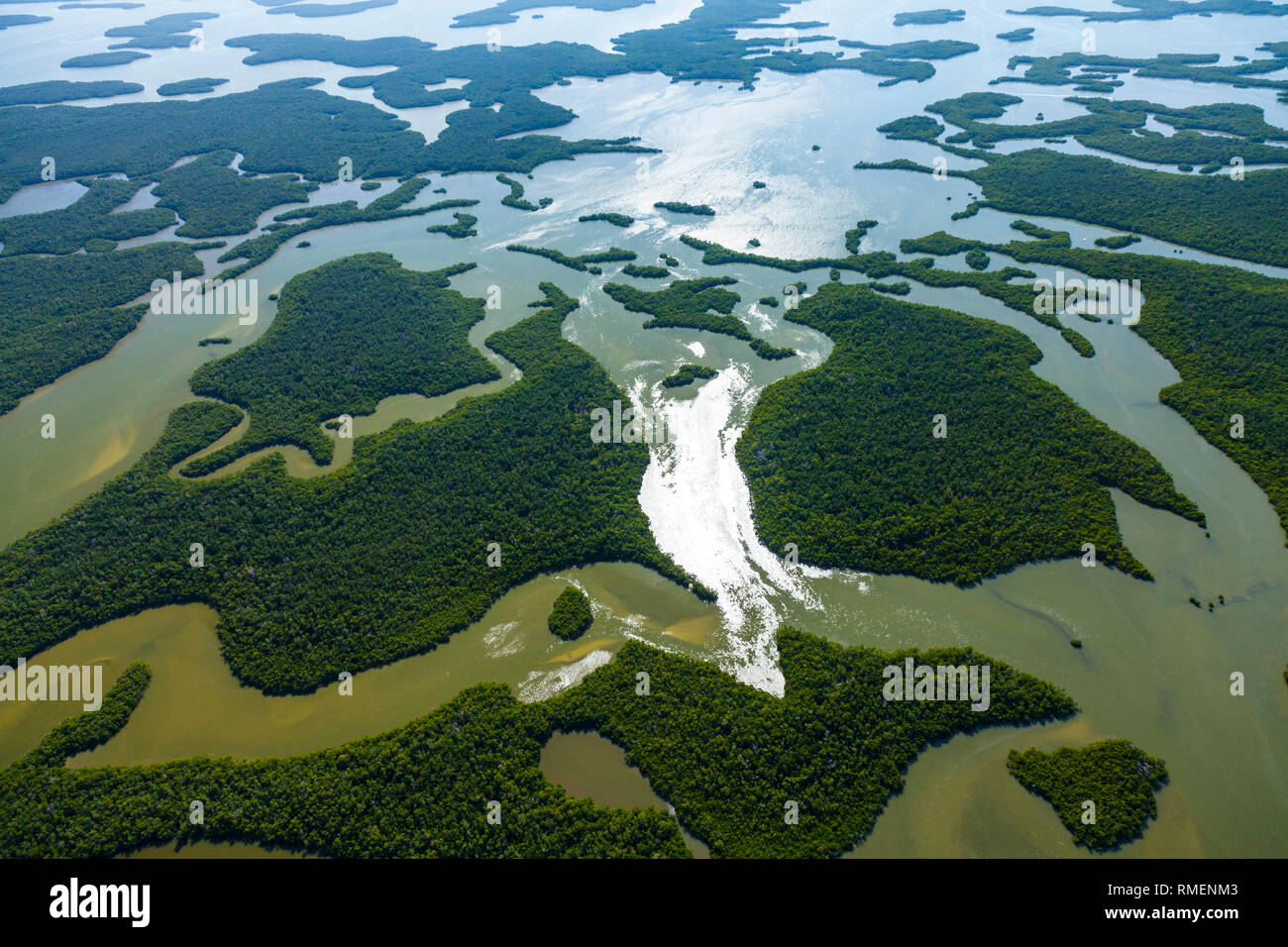 Aerial view, Everglades Natuional Park, FLORIDA, USA, AMERICA Stock ...