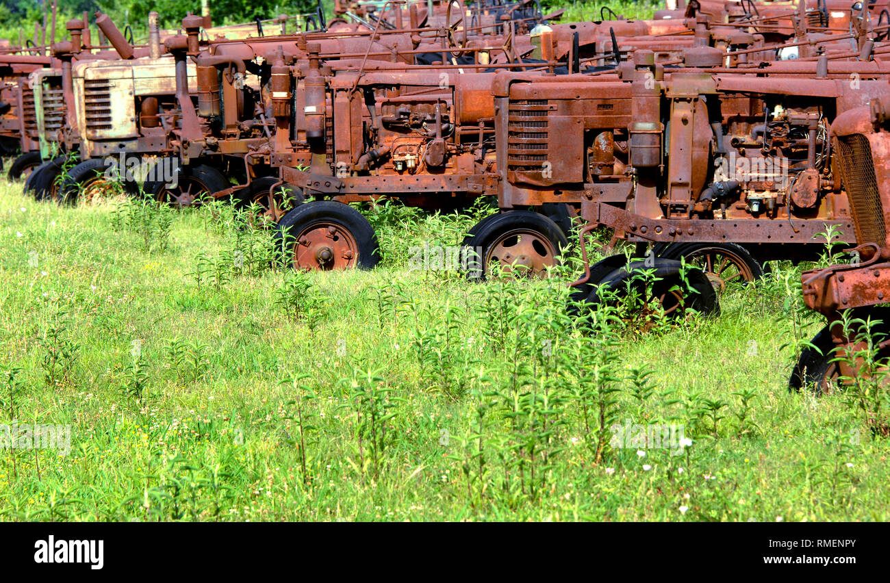 Field of rusty, antique tractors form row of rusting metal. Vintage ...