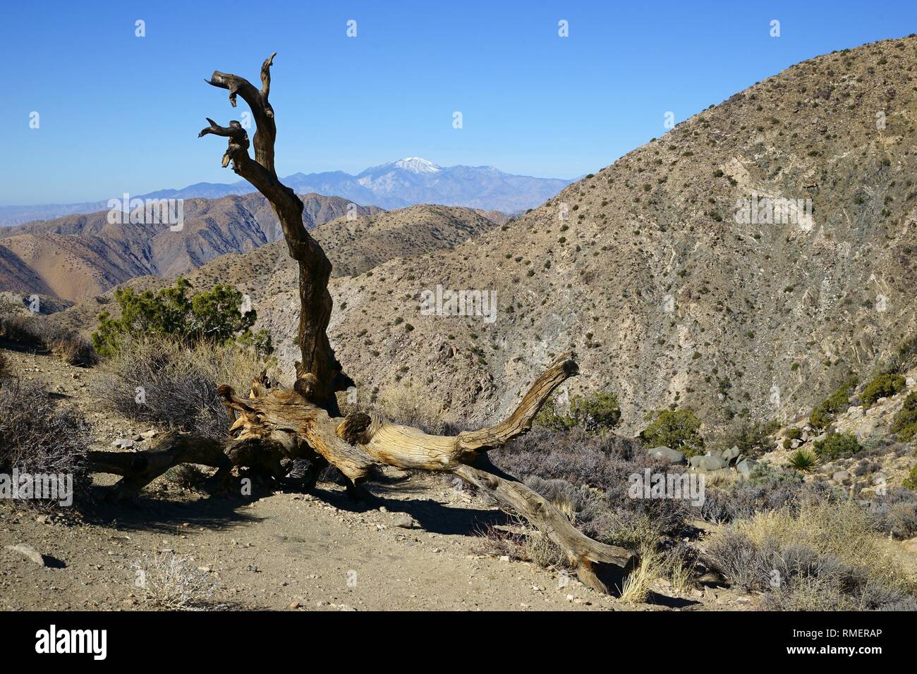 Quail Mountain snow covered top view from Keys View overlook in Joshua ...