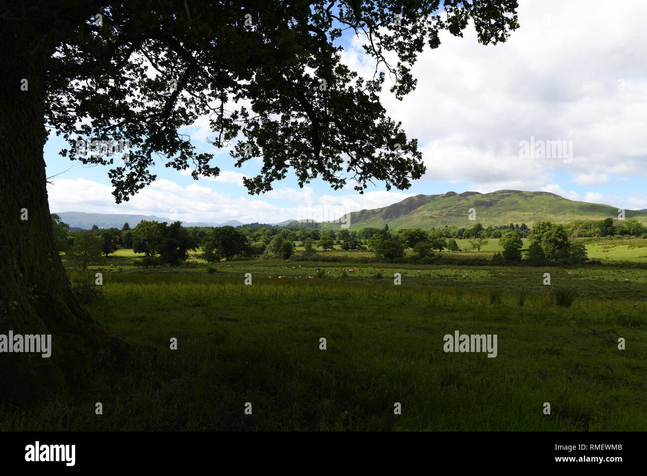 On the footpath from Balmaha to Conic Hill. Loch Lomond, Scotland UK ...