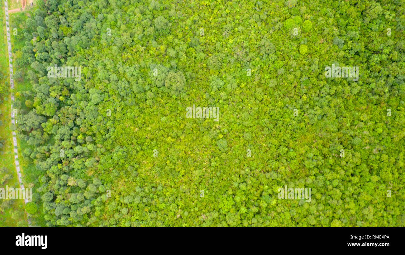 Vietnam jungle from above hi-res stock photography and images - Alamy