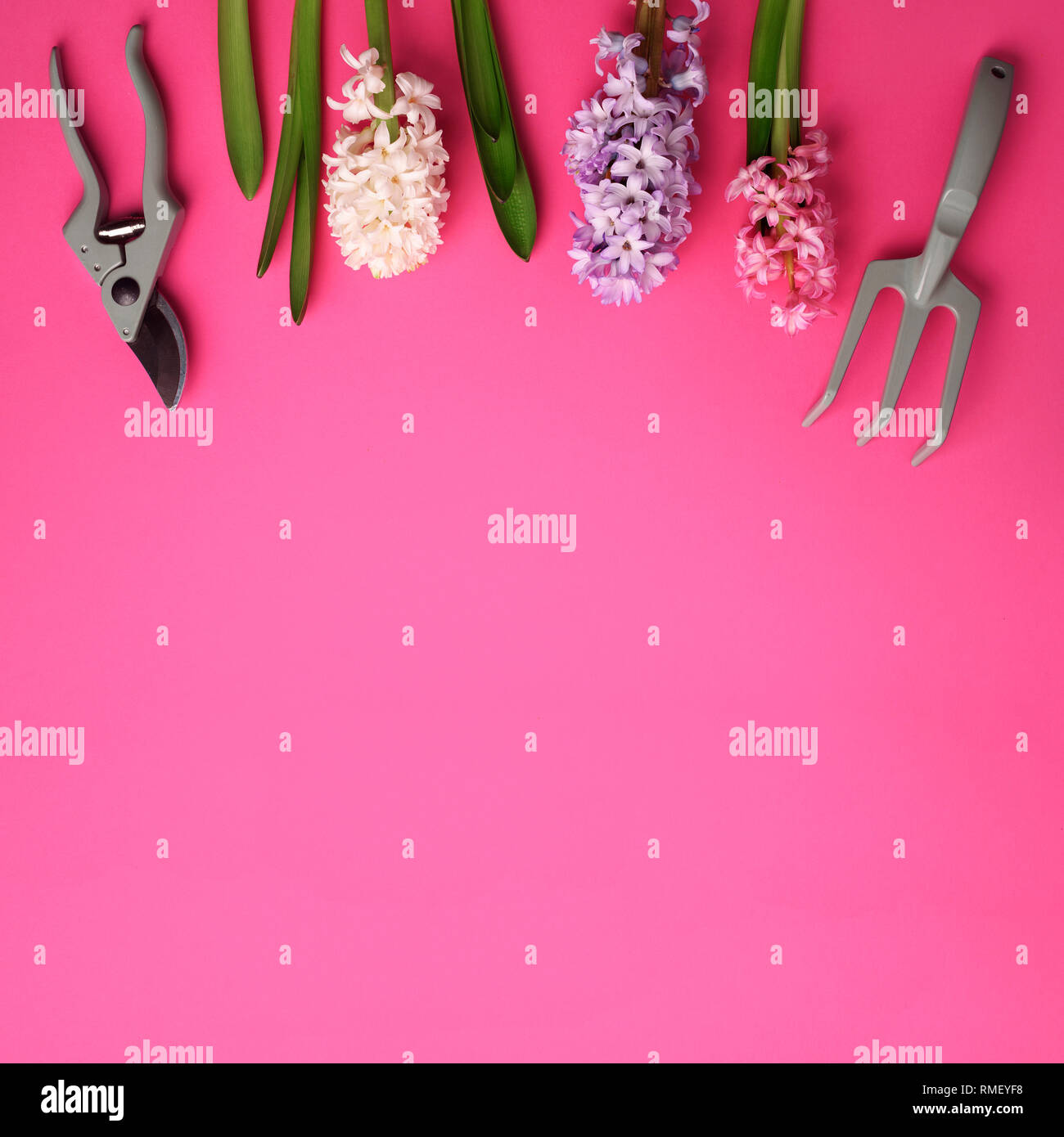 Garden pruner, rake, with flowers on pink punchy pastel background ...