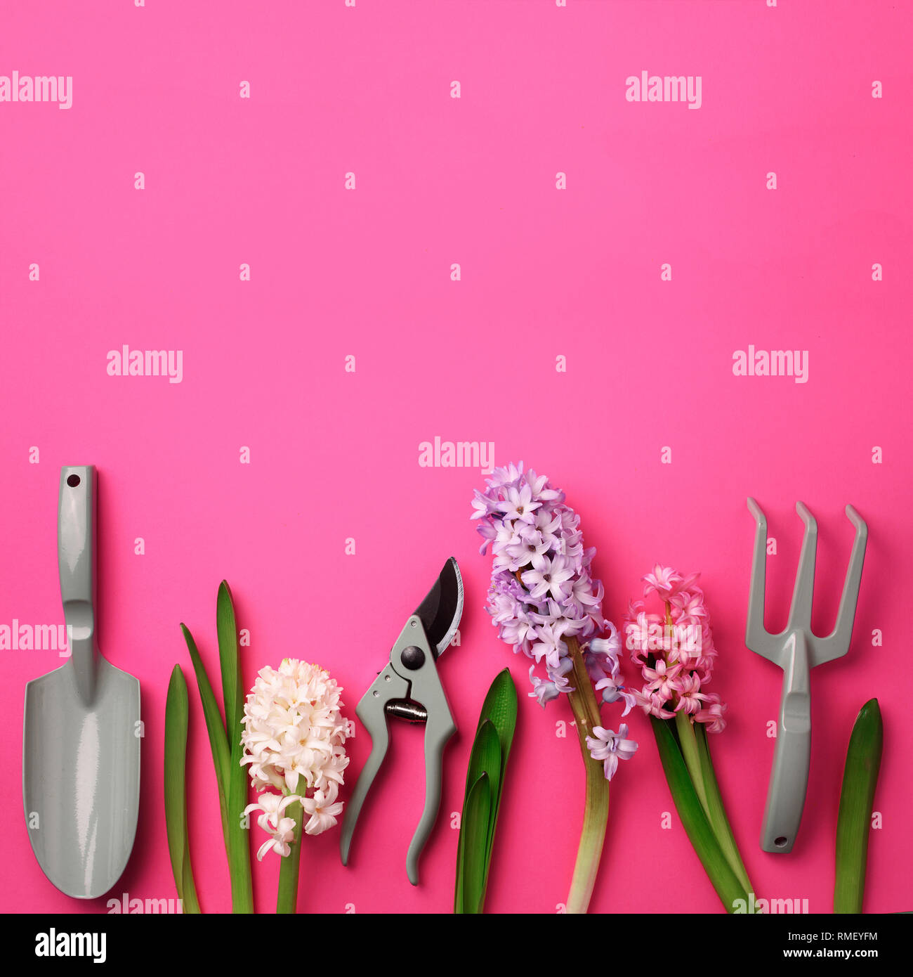 Garden pruner, rake, with flowers on pink punchy pastel background ...
